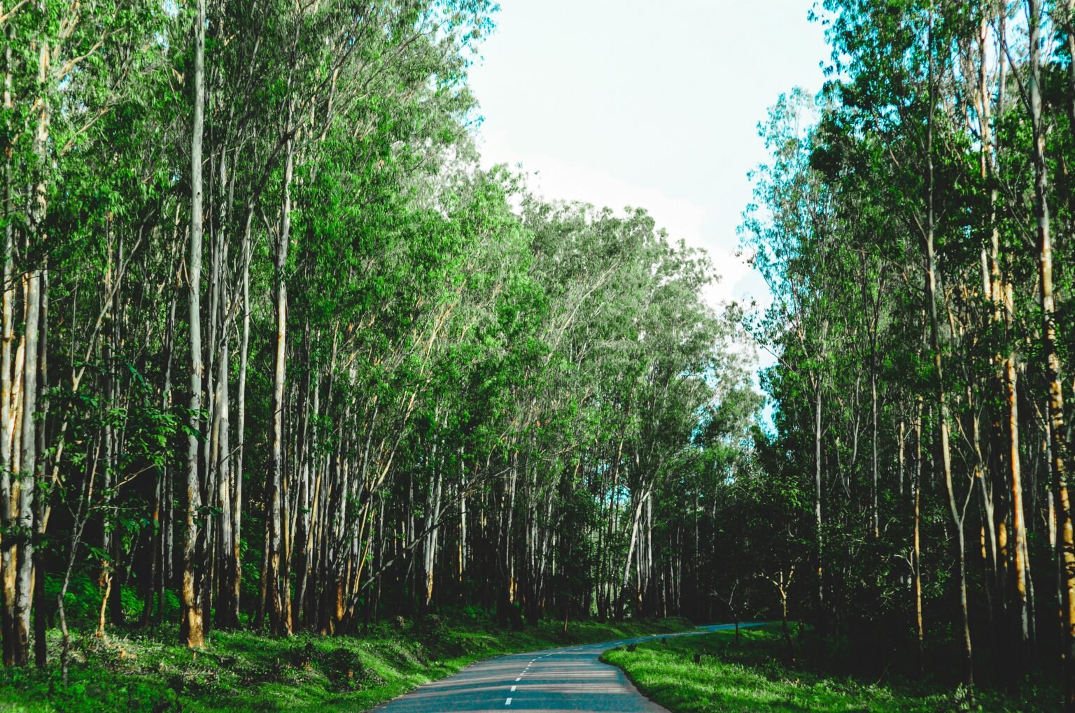 9 Remarkable Pre Wedding Shoot Locations In Kerala - 2025
